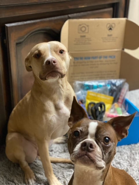 August 27, 2021 Donations List | Max and Neo