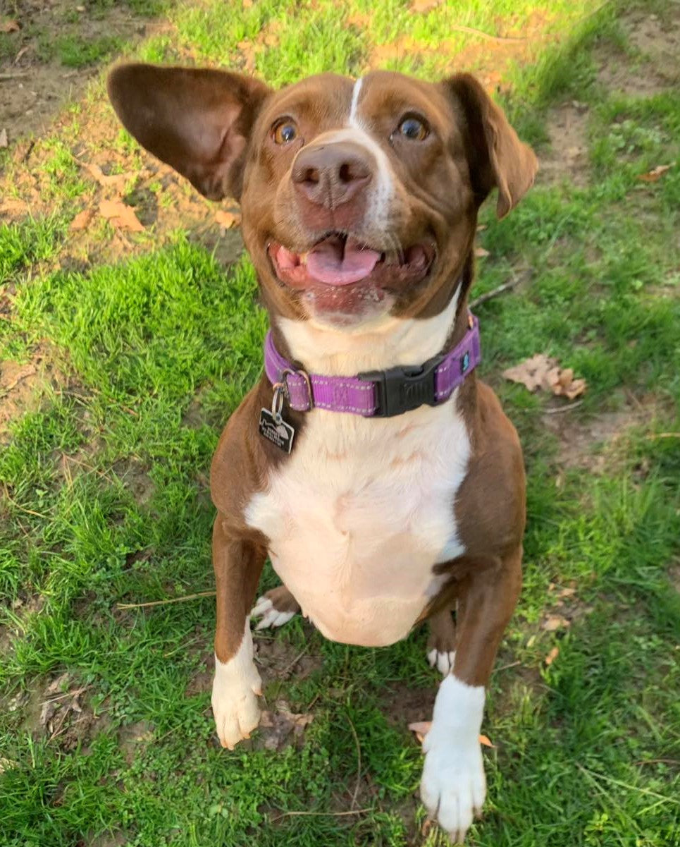 Max and Neo Donation News | Max and Neo