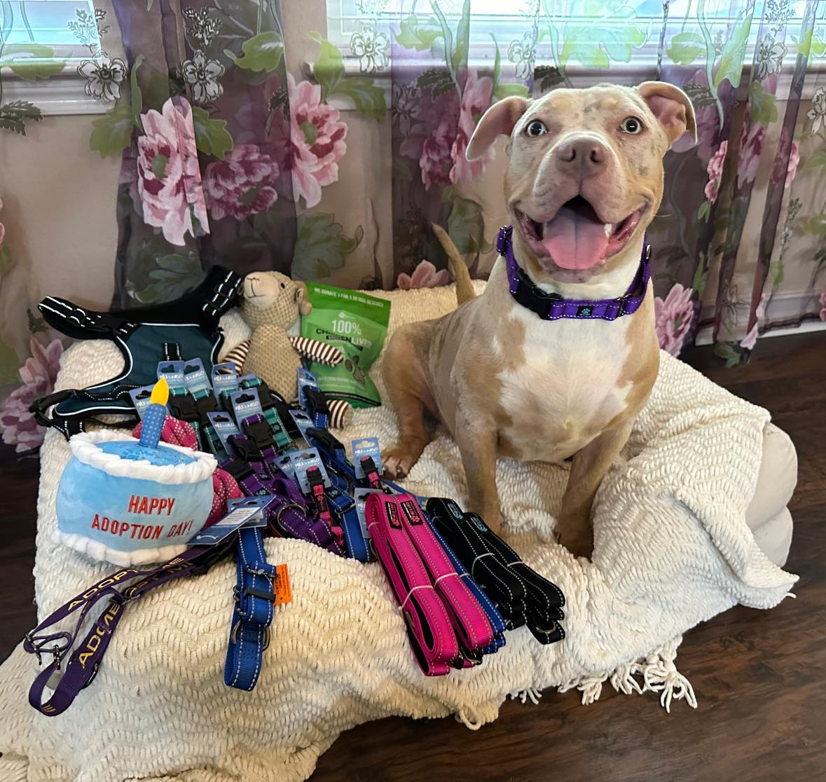 Max and Neo Donation News | Max and Neo