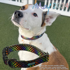 How Does Our One For One Donation Program Work? | Max and Neo