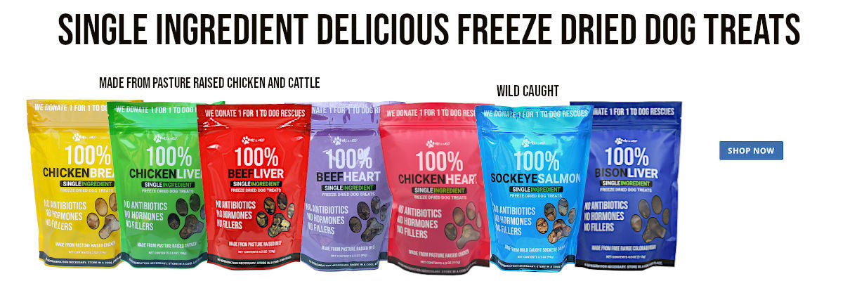 Max and Neo - Dog Collars, Leashes - We Donate 1 For 1 to Dog Rescues ...