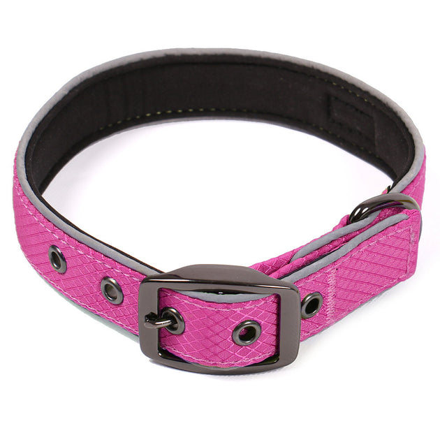 Glacier Dog Collar | Max and Neo